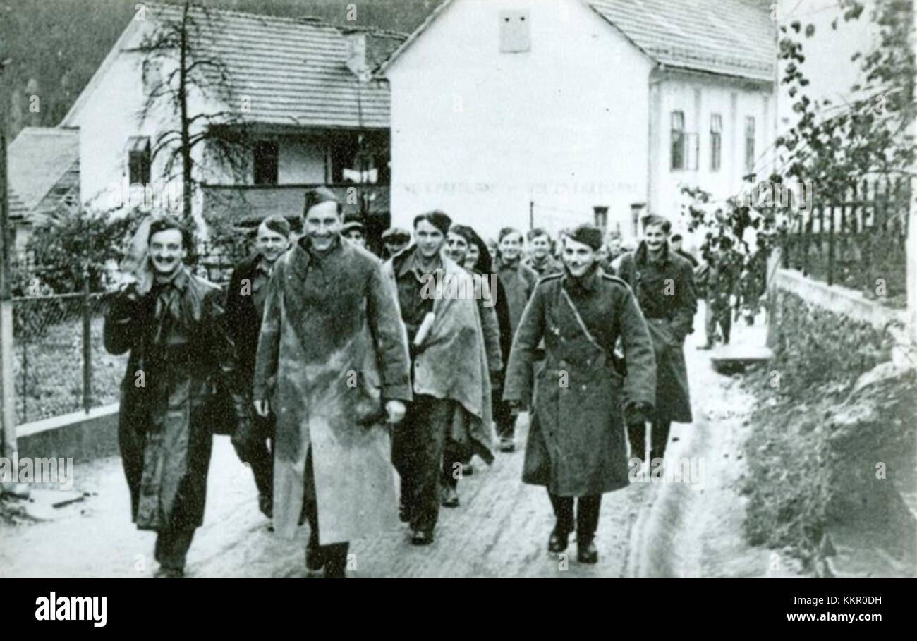 The 'Pohod partizanov skozi Ljubno' refers to a significant historical ...