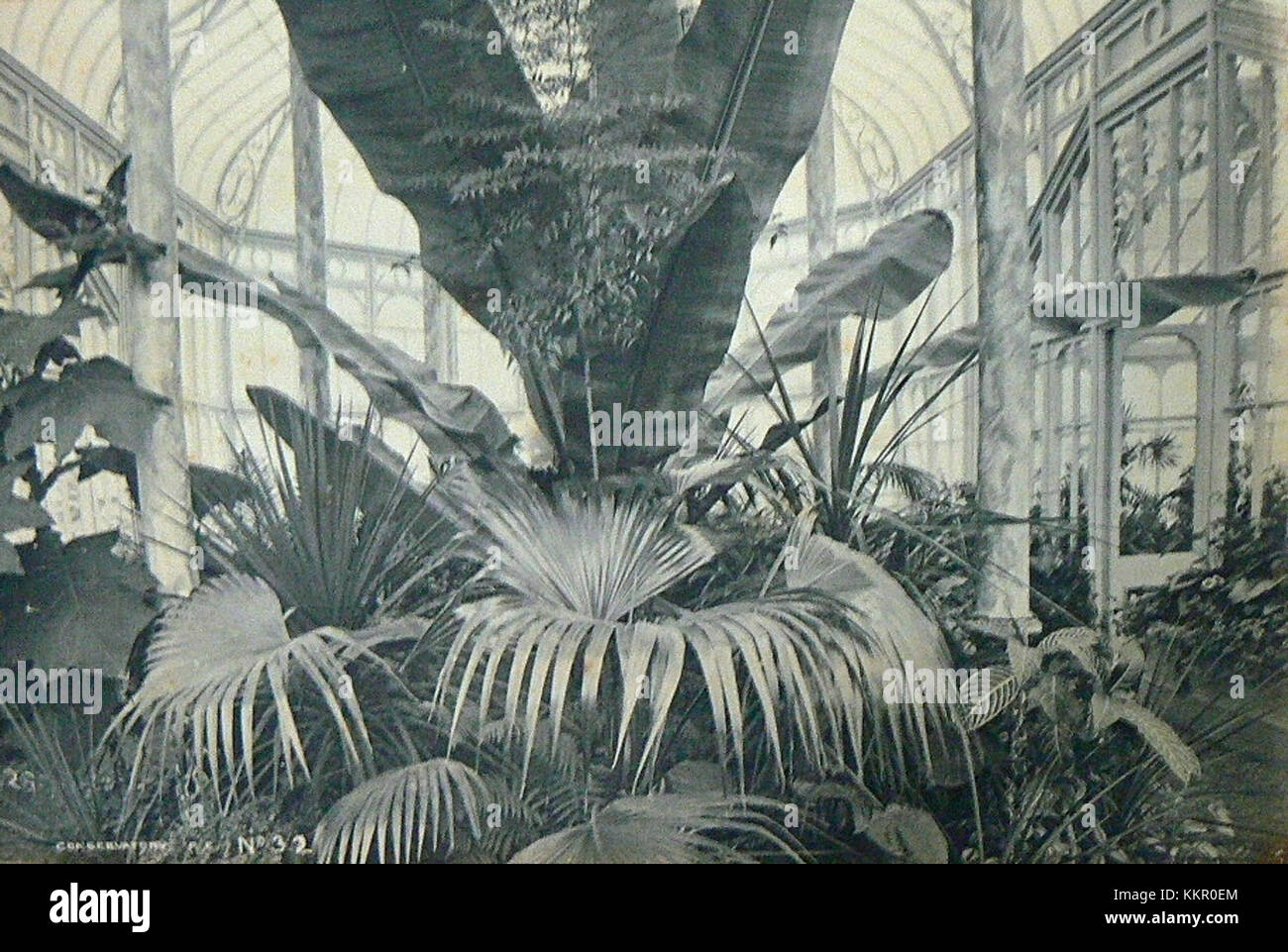 The Pearson Conservatory in Port Elizabeth, South Africa, built around ...