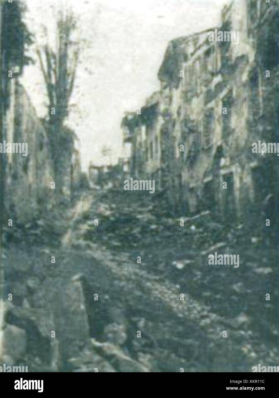 This image shows a completely destroyed street leading to Kostanjevica ...