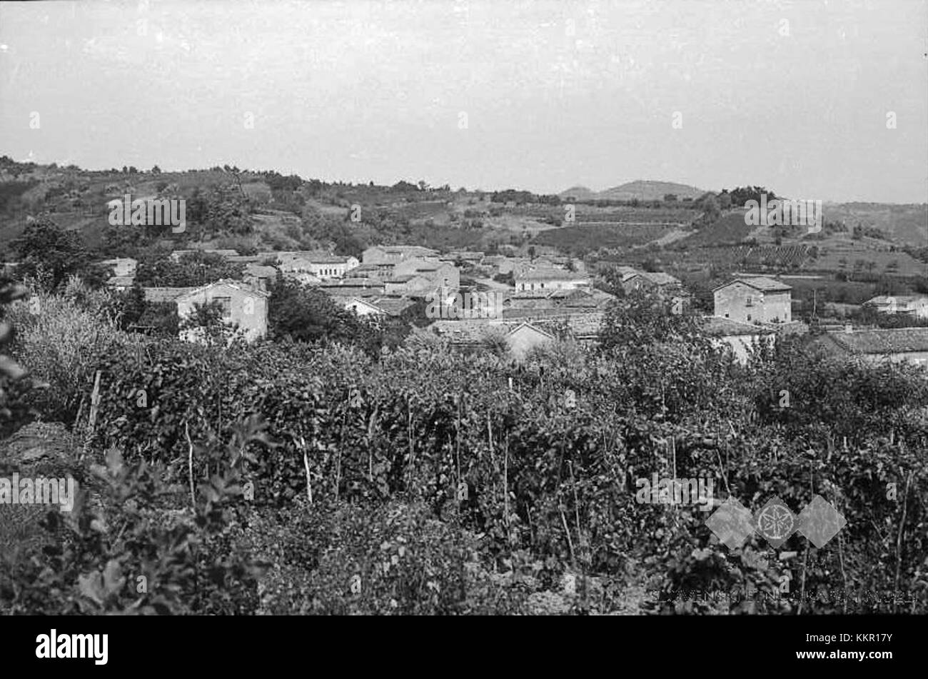 Podraga 1958 refers to an event or cultural reference from the year ...