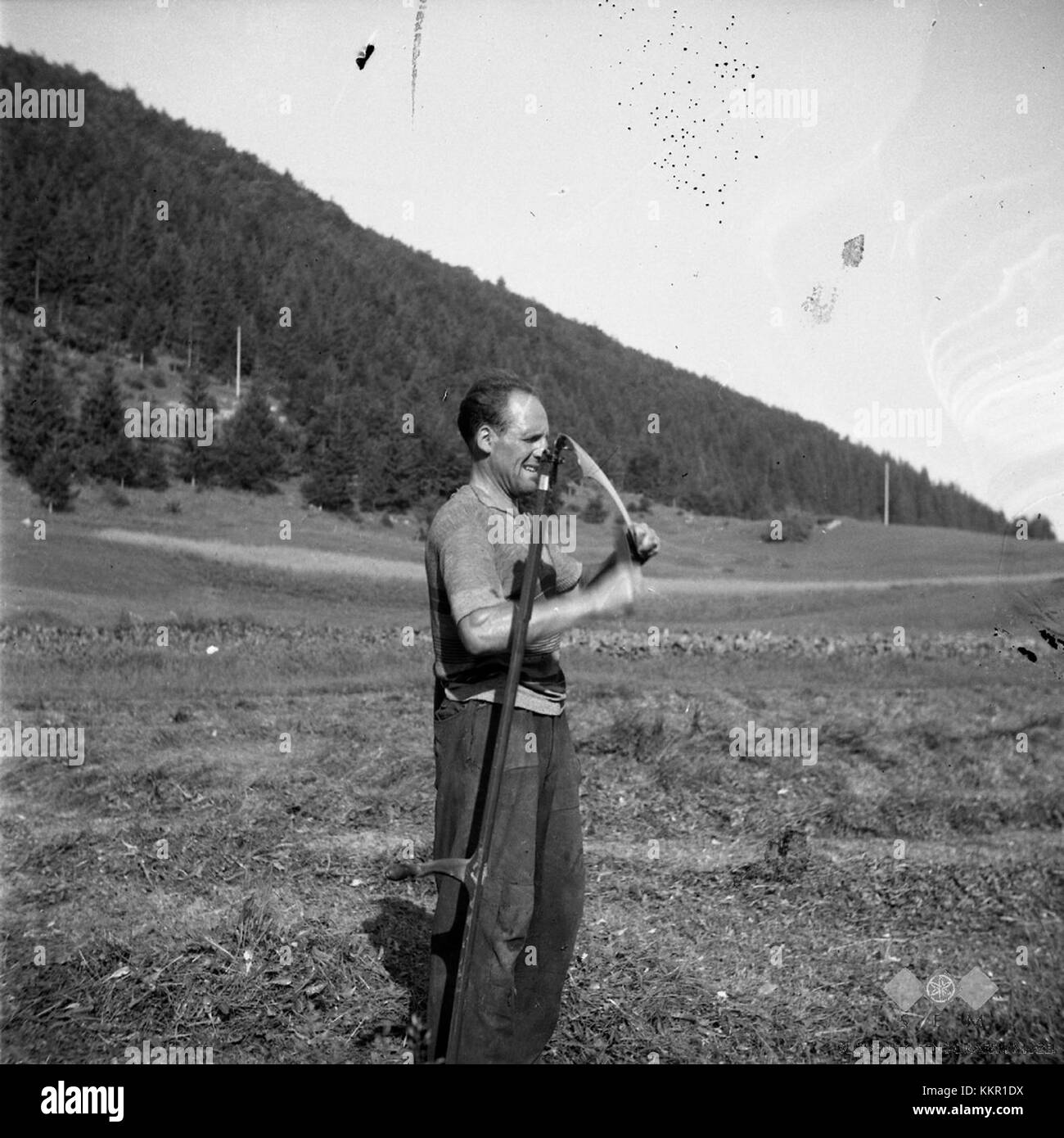 Brusi hi-res stock photography and images - Alamy