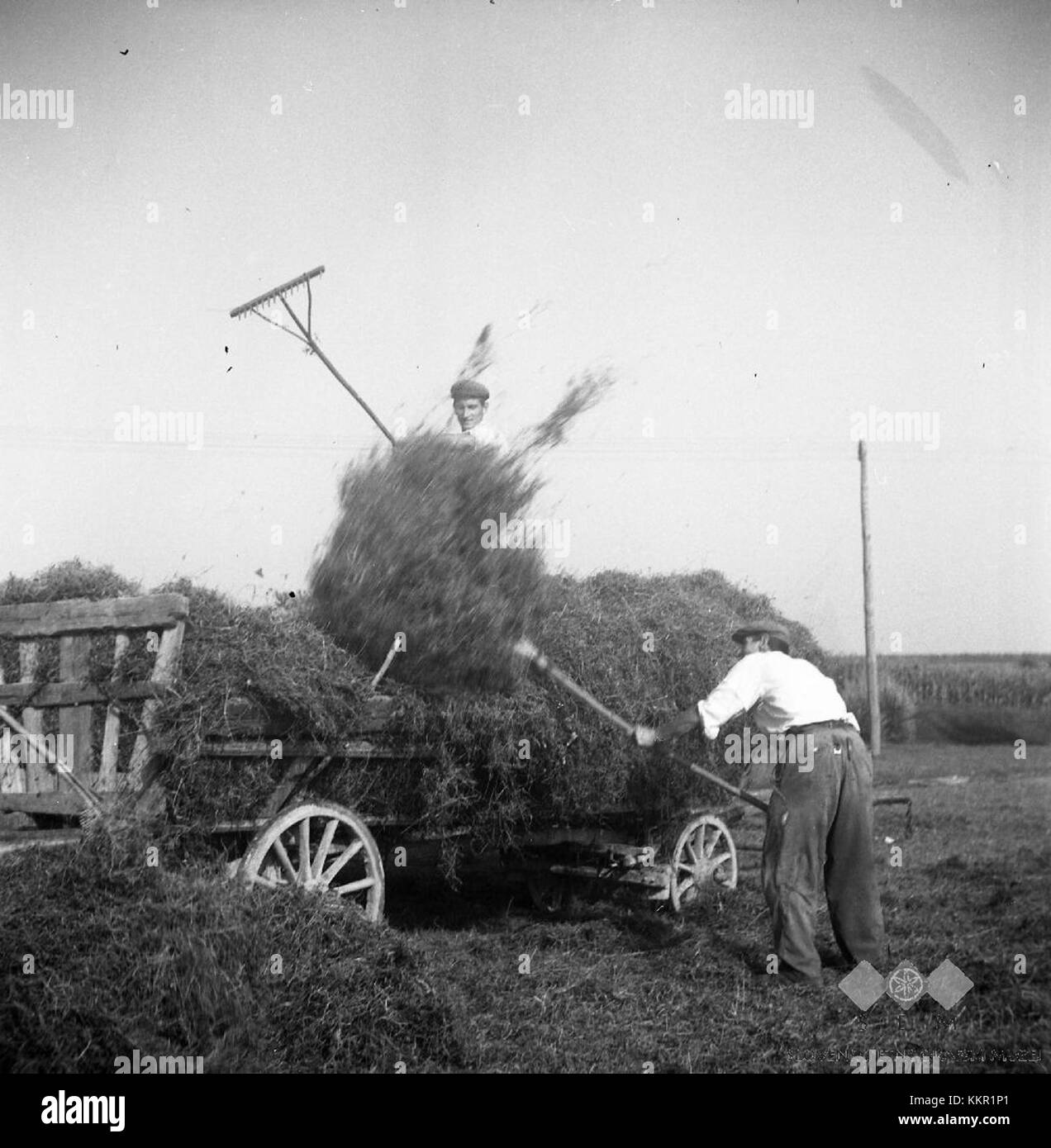 This image from 1961 depicts the process of hay loading onto a train in ...