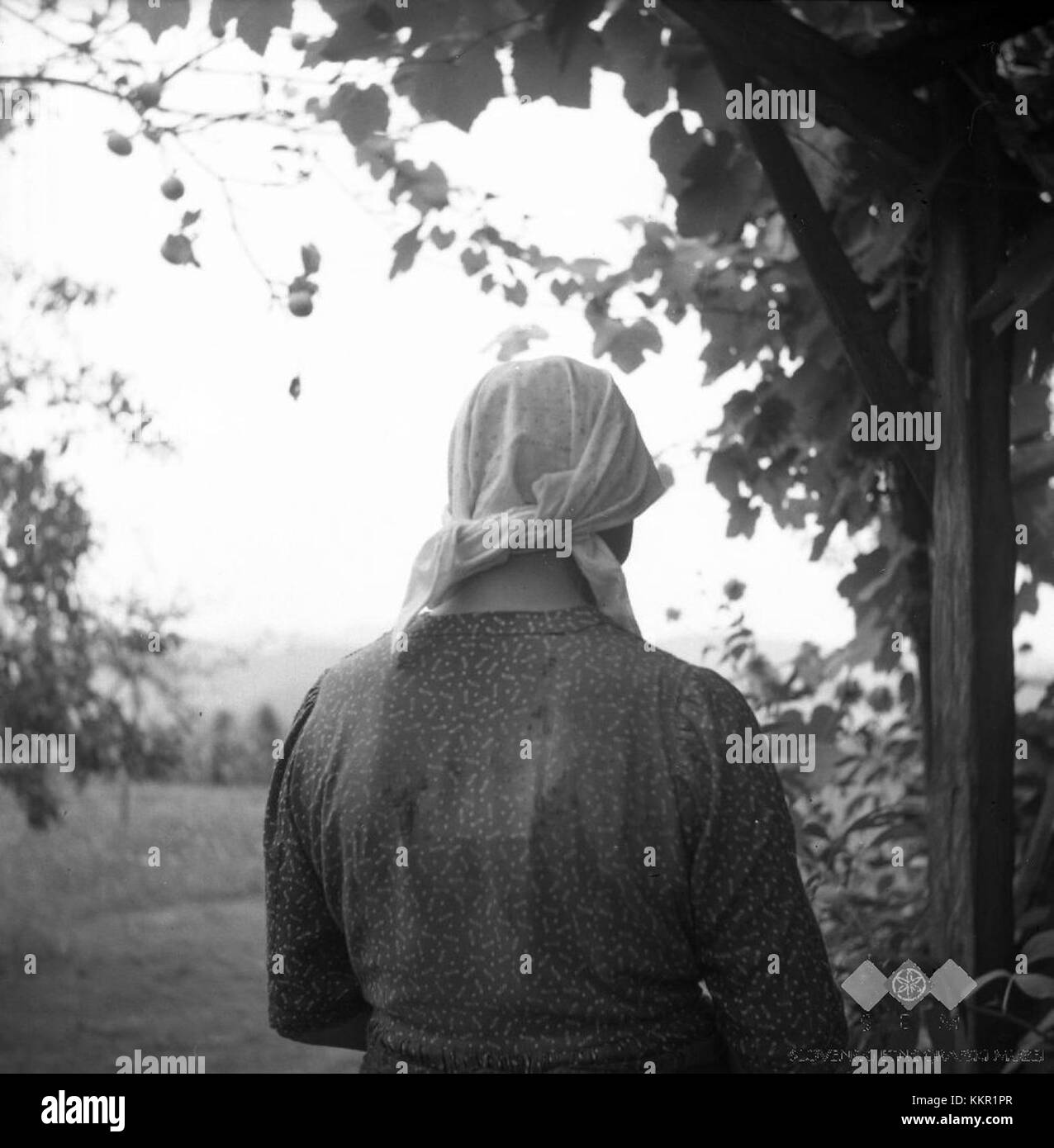 This photograph from 1961 captures a significant moment in Trstenik, a ...