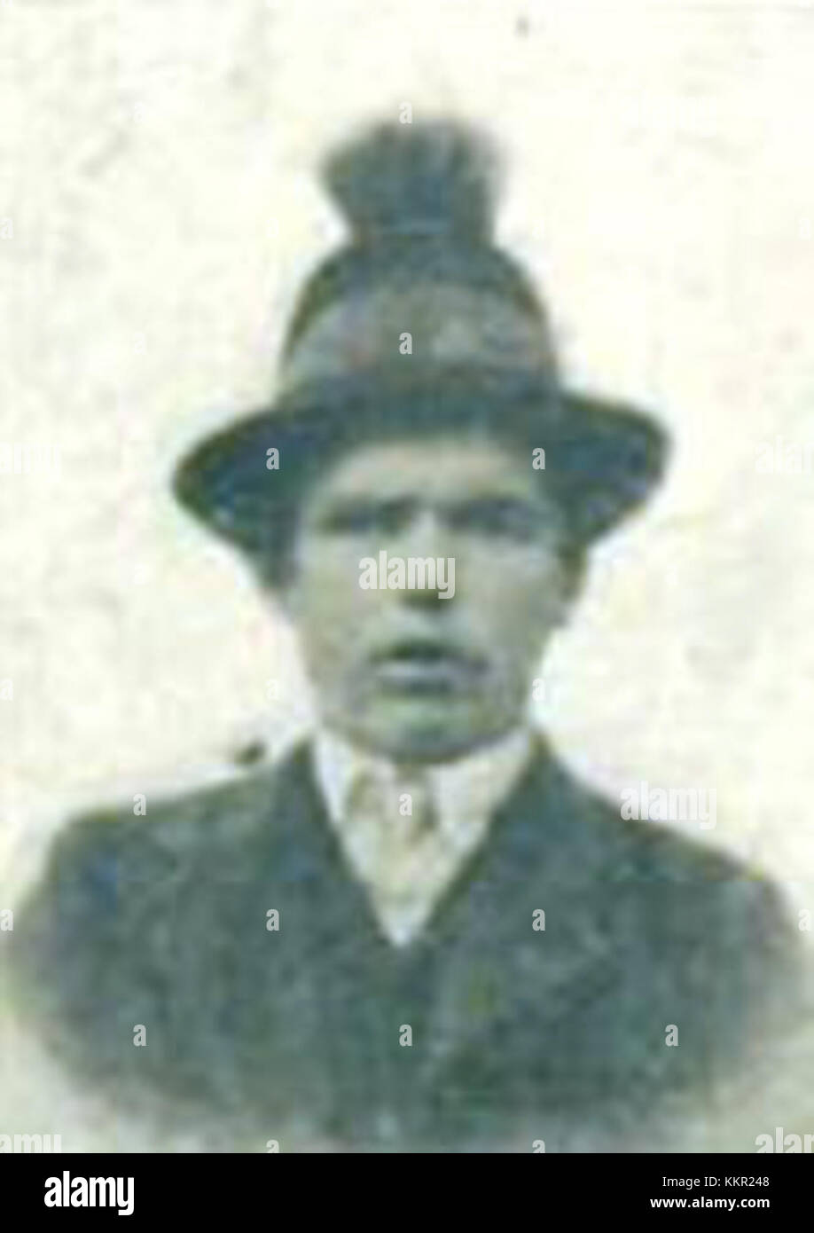 Anton Debelak was a notable figure, contributing to his field with ...