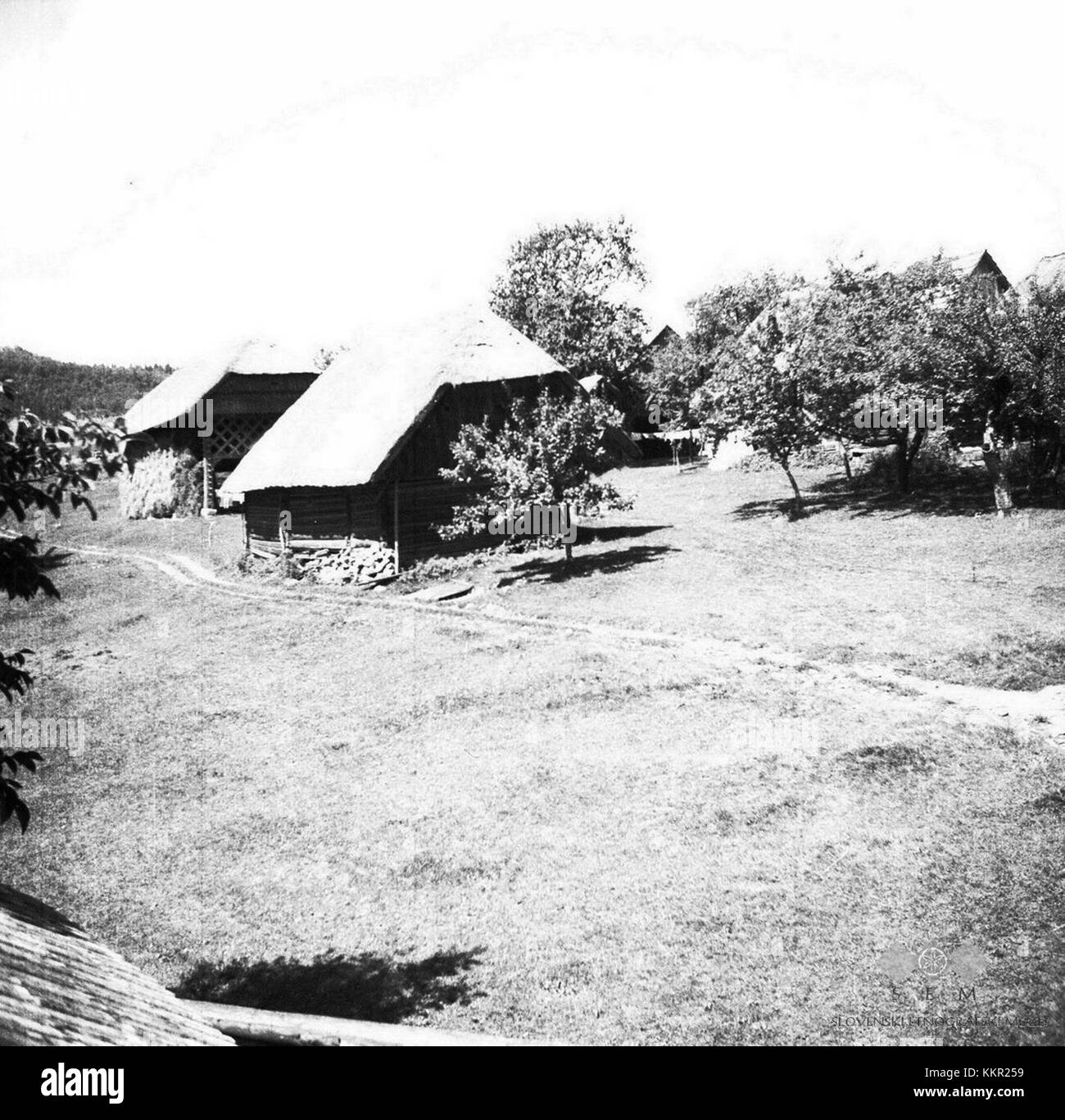 Kozolci in podi svisli, Udje 1948 Stock Photo - Alamy