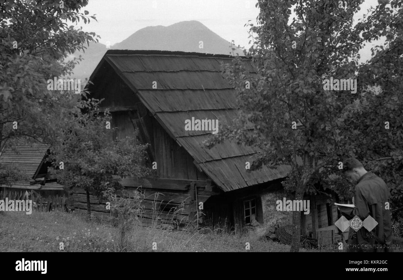 This photo from 1963 captures the village of Stenica in Slovenia ...