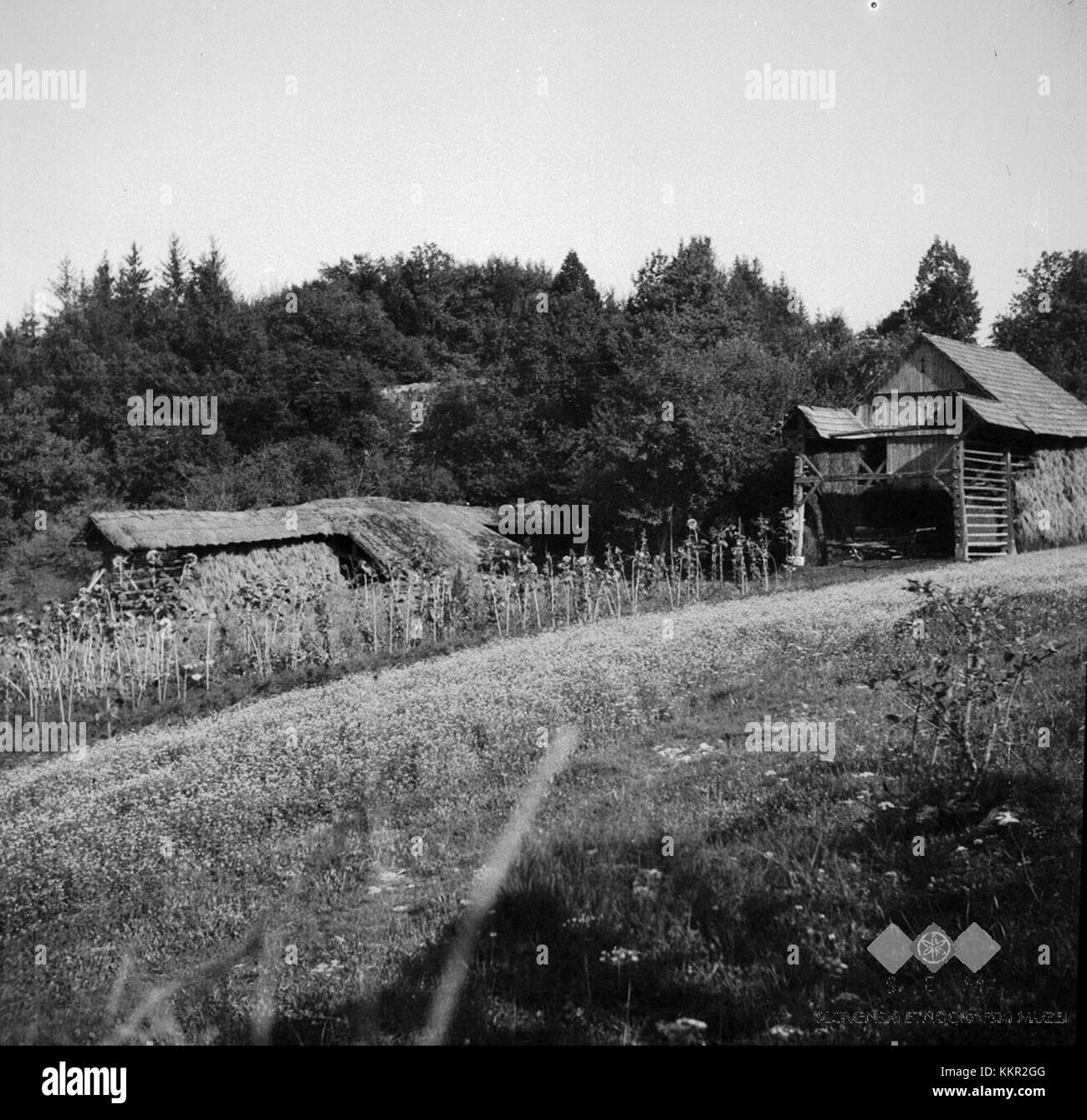 Cerovo hi-res stock photography and images - Alamy