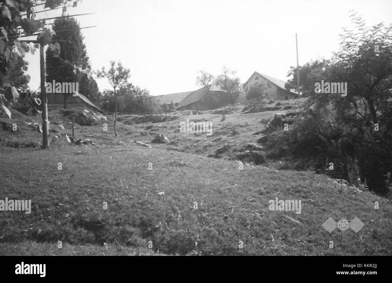 Pece hi-res stock photography and images - Alamy