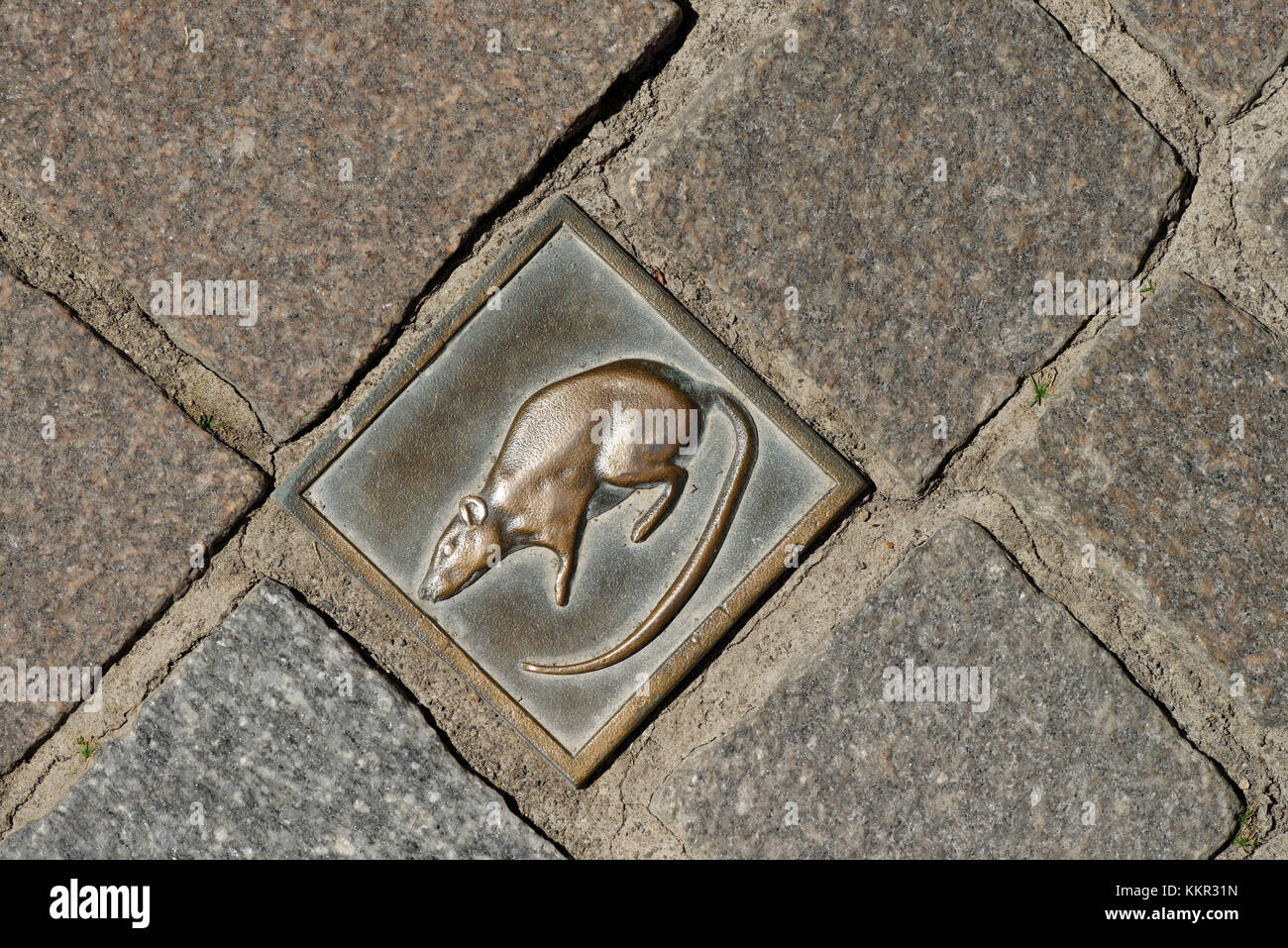 Rat-catcher symbol in the pedestrian area of the old town of Hameln ...
