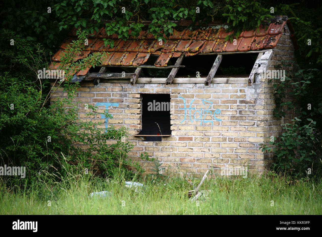 Ramshackle Hut High Resolution Stock Photography and Images - Alamy