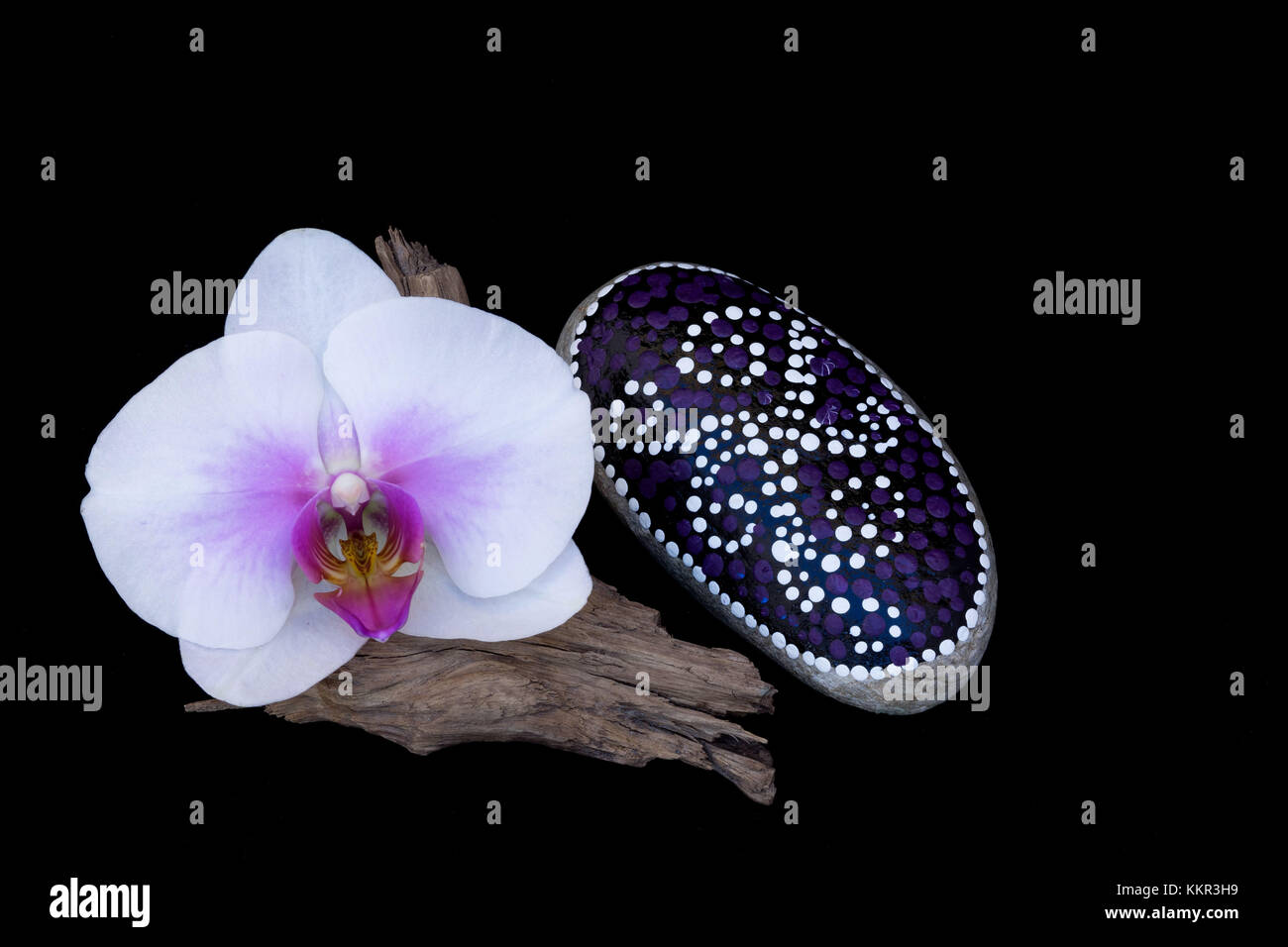 Orchid blossom, painted stone, dots, pattern, art stone, Stone Art ...