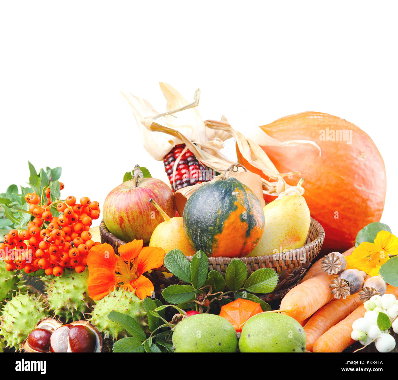 Coloured autumn fruits Stock Photo - Alamy