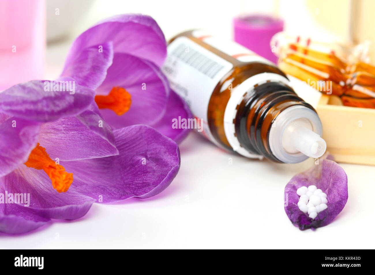 Flower globules hi-res stock photography and images - Alamy