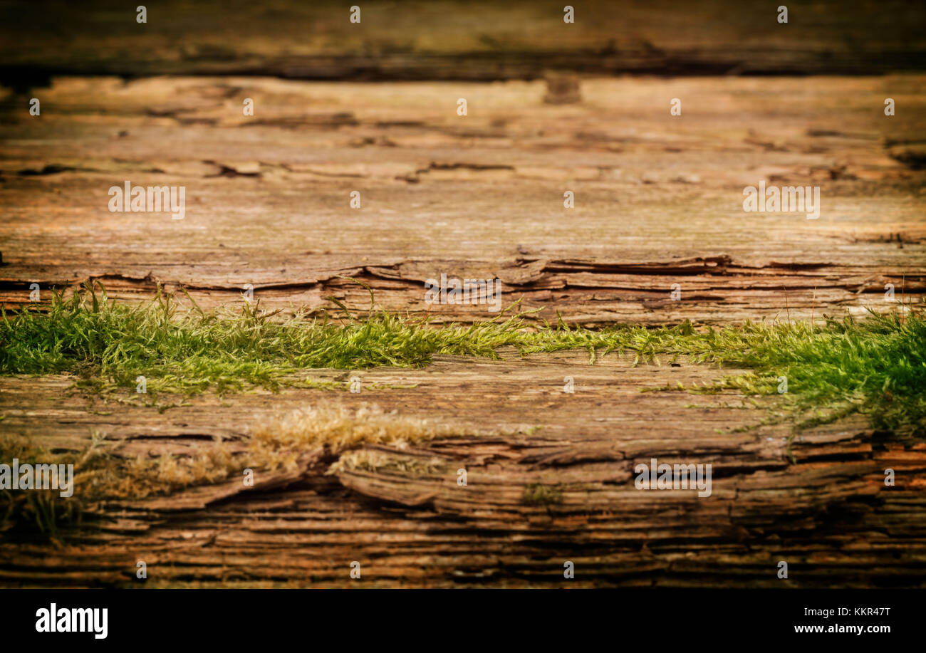 Empty wooden board with moss Stock Photo - Alamy