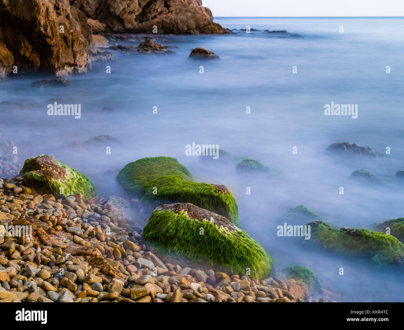 Algae-covered rocks in seashore Stock Photo - Alamy