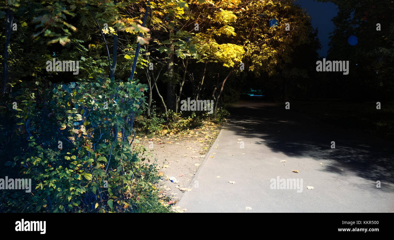 dark street with trees in autumn, danger around the corner Stock Photo ...