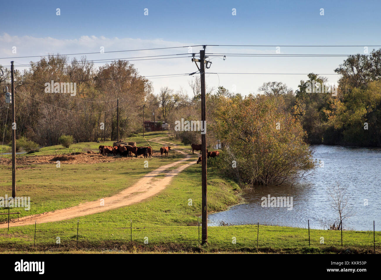 Rustic Texas cattle farm with a tin roof and hay in the fields Stock ...