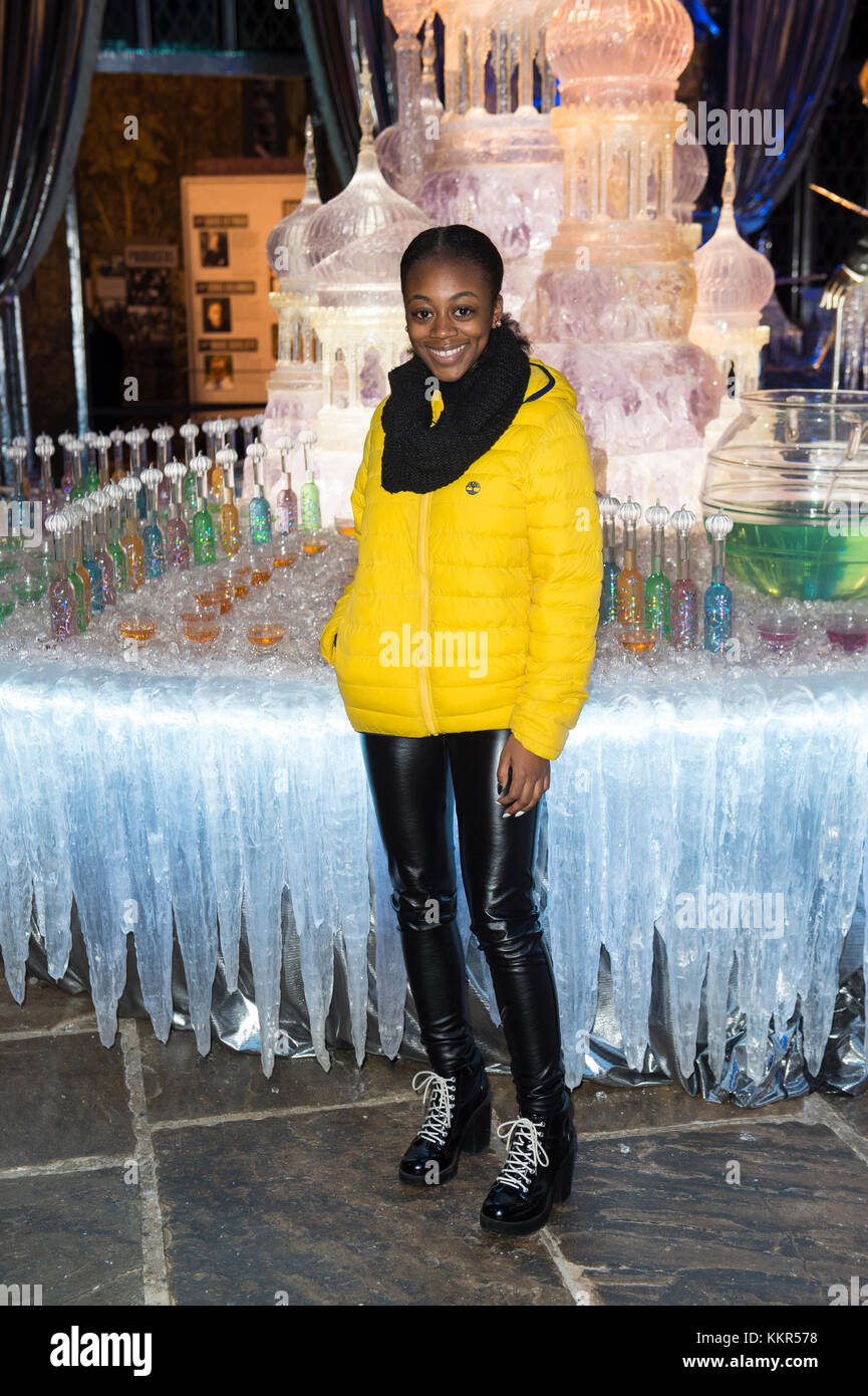 'Hogwarts In The Snow' VIP Launch Event At Warner Bros. Studio Tour ...