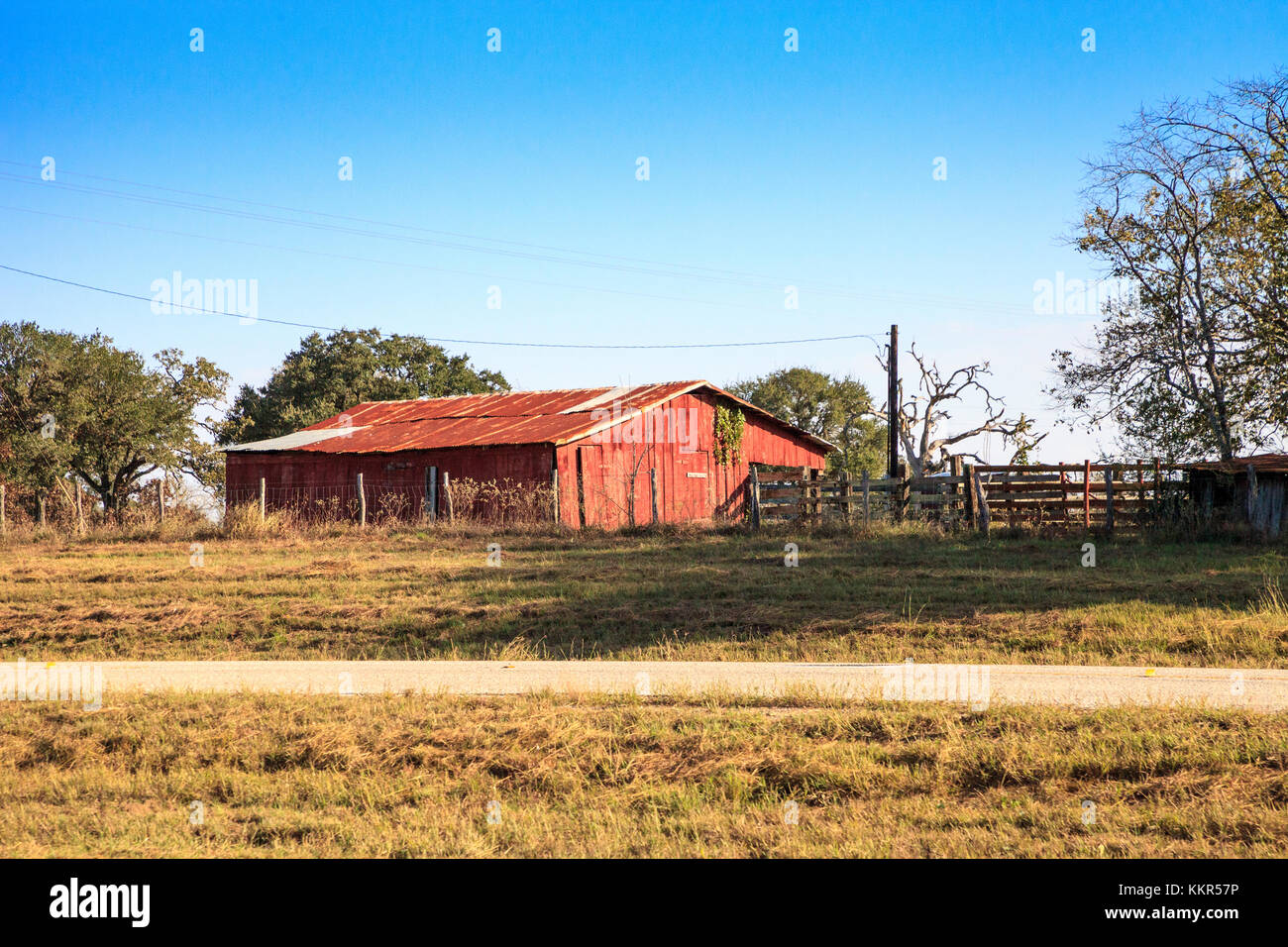 Rustic Texas cattle farm with a tin roof and hay in the fields Stock ...