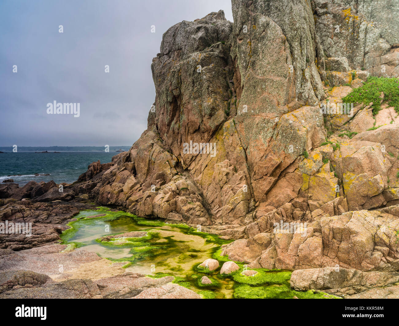 Rock pool green algae seaweed hi-res stock photography and images - Alamy