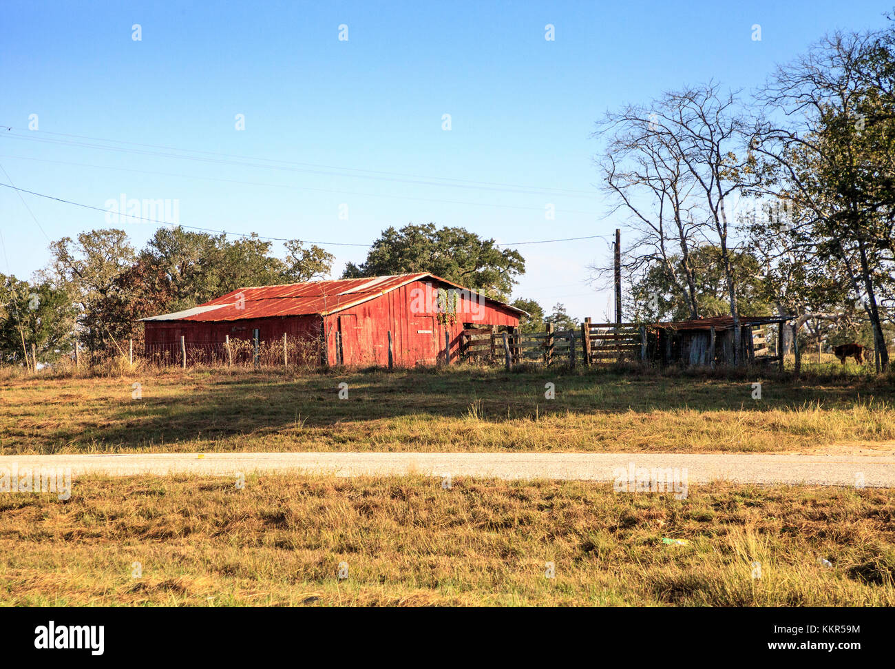 Rustic Texas cattle farm with a tin roof and hay in the fields Stock ...