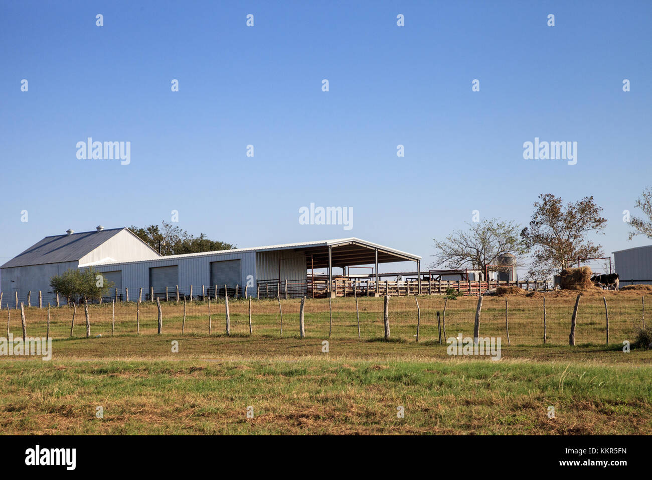 Rustic Texas cattle farm with a tin roof and hay in the fields Stock ...