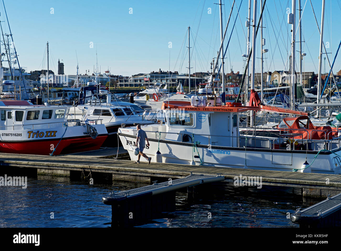 Hartlepool Marina, County Durham, England UK Stock Photo - Alamy