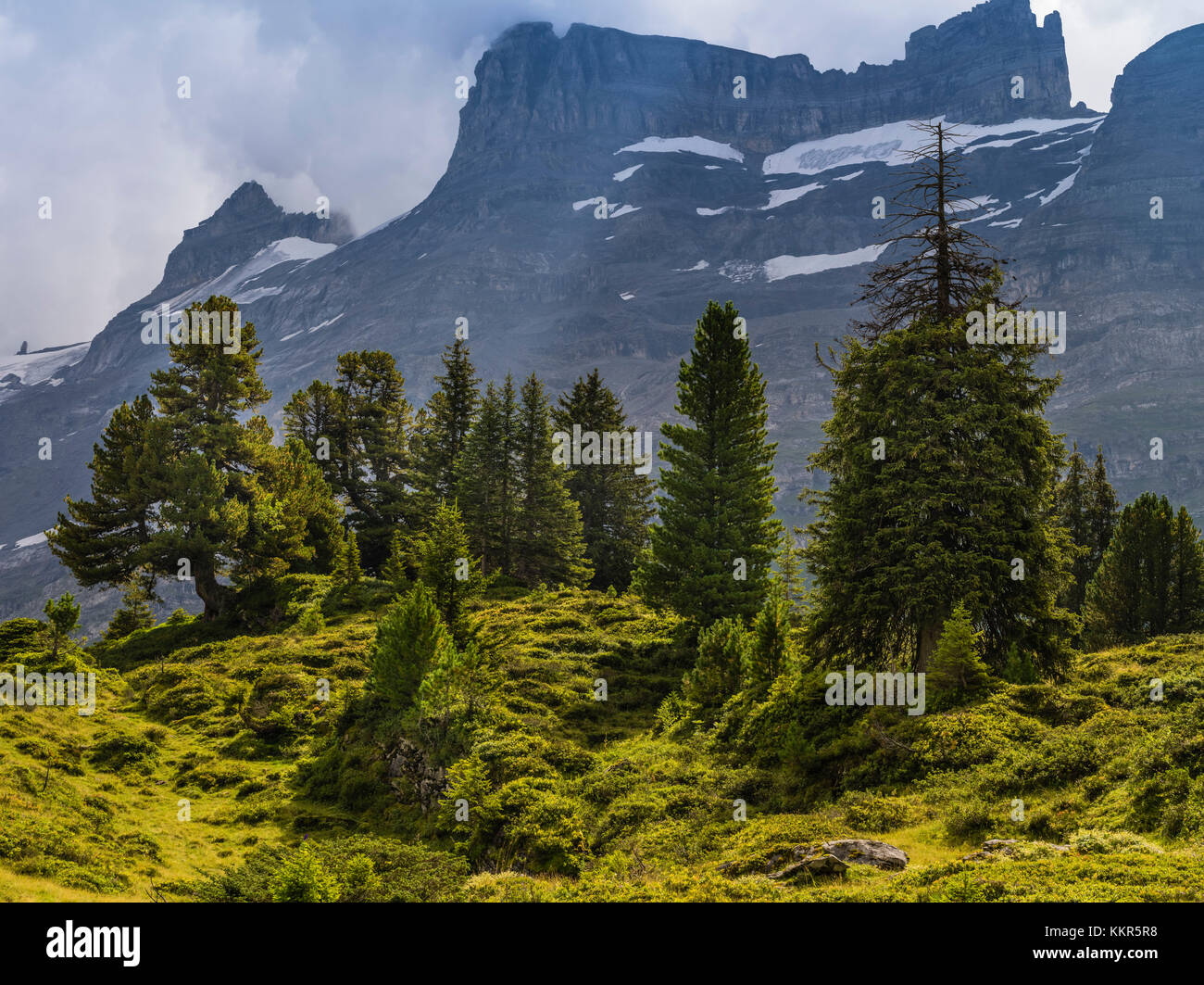 Engstlenalp switzerland hi-res stock photography and images - Alamy