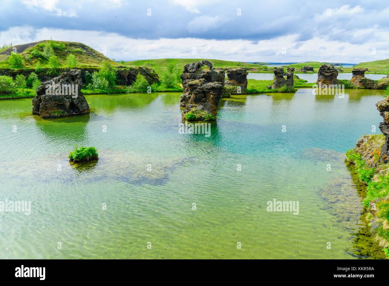 View of Lake Myvatn with various volcanic rock formations, and birds ...