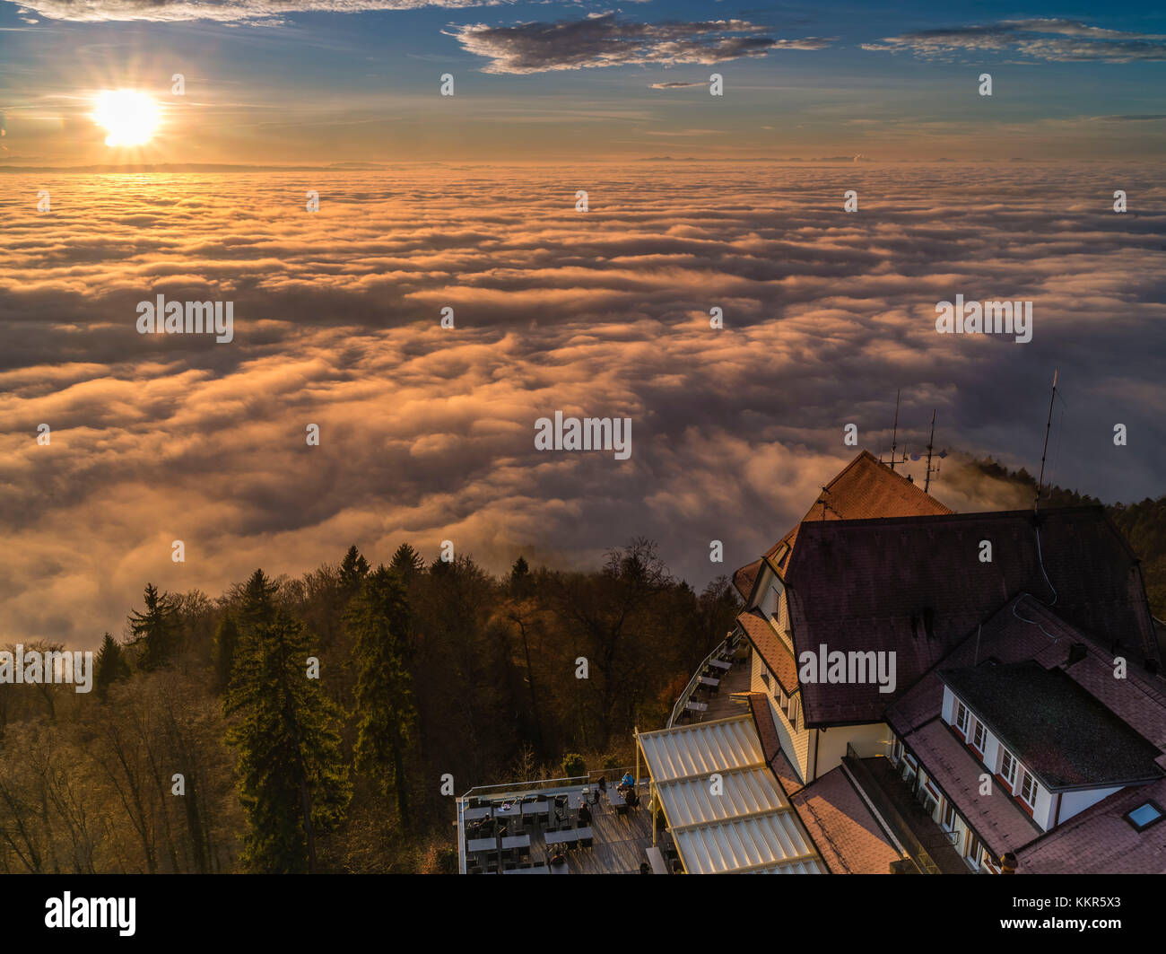 Fog over forest sunset hi-res stock photography and images - Alamy
