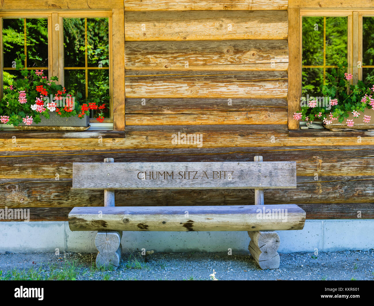 Log bench hi-res stock photography and images - Alamy