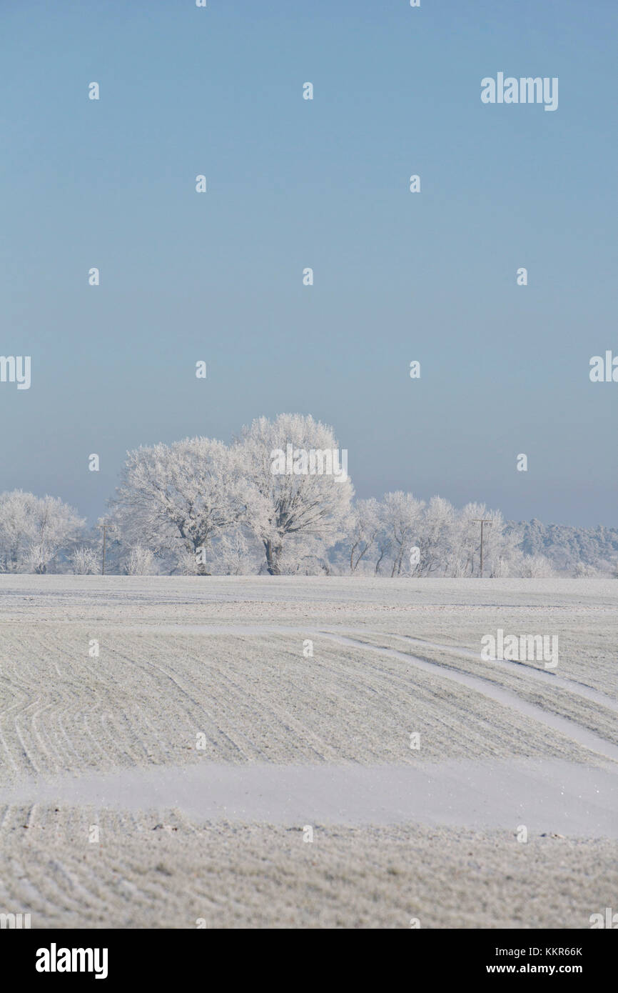 Fresh snowfall in winter scenery Stock Photo - Alamy
