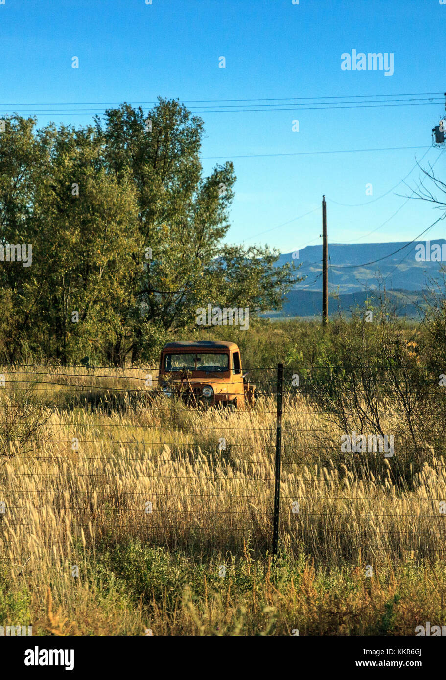 Rusted out classic Jeep truck on a Rustic Texas farm with a tin roof ...