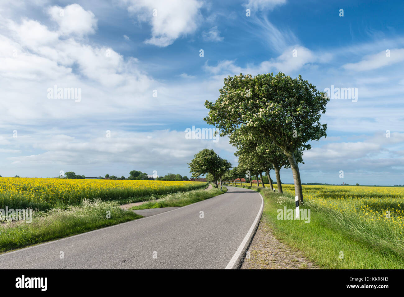 Orth, island of Fehmarn, Ostholstein, Schleswig-Holstein, Germany ...