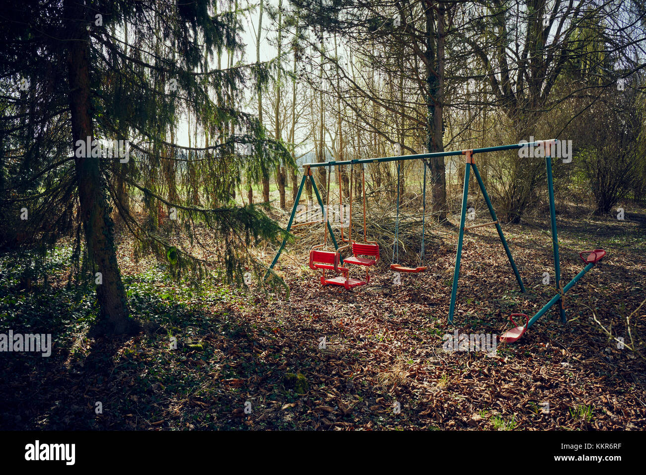 Swing as playground in the wood with trees sun hi-res stock photography ...