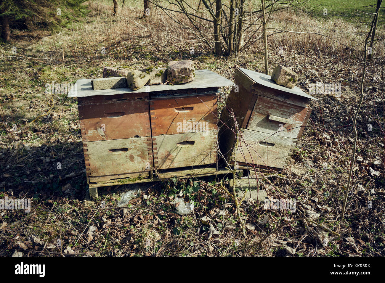 Bee boxes hi-res stock photography and images - Alamy