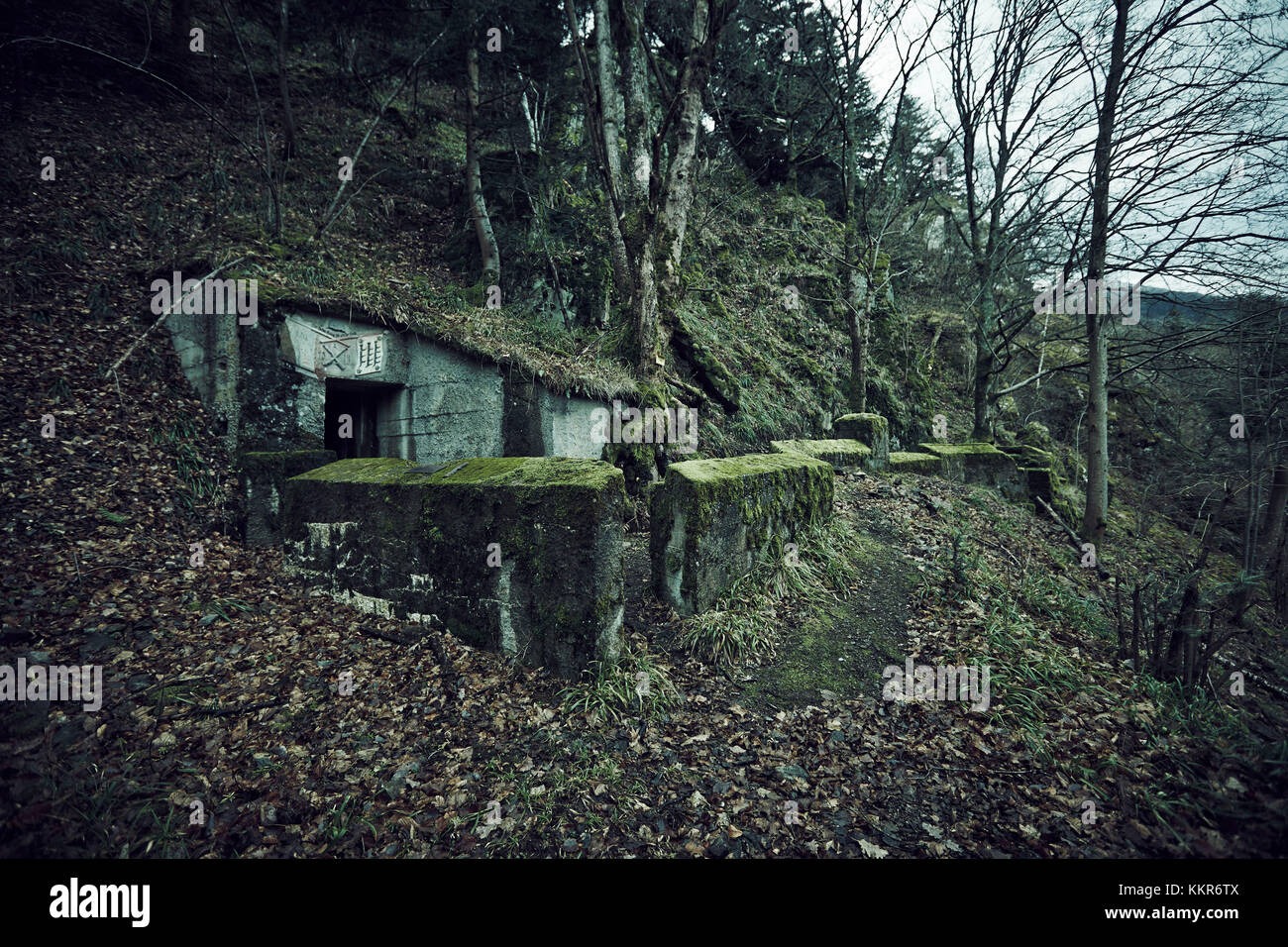 Remains of a bunker on mountain in a wood in winter in Alsace Stock ...