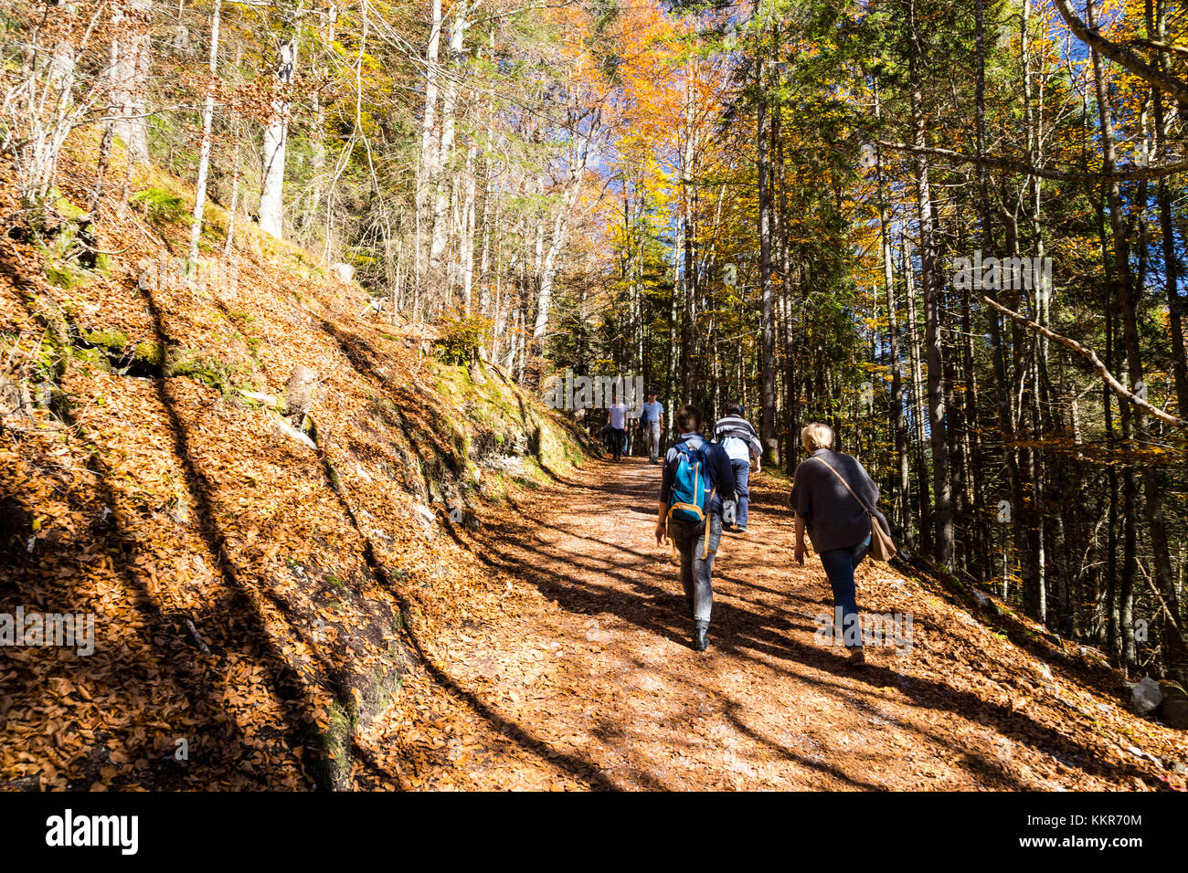 Europe, Austria, Alps, Tyrol, path to Highline 179 Stock Photo - Alamy