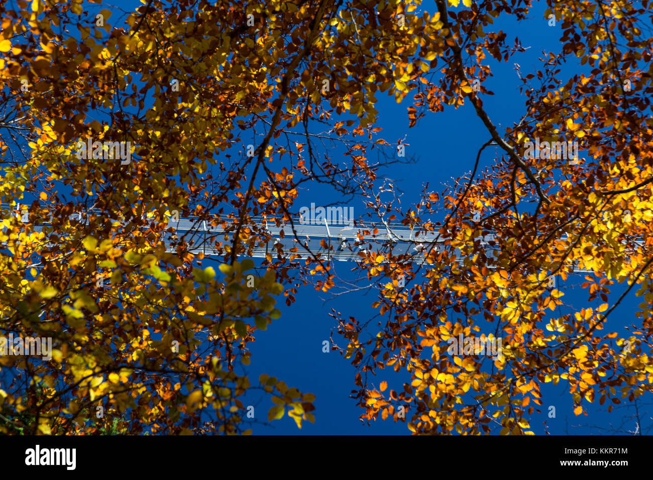 Europe, Austria, Alps, Tyrol, Highline 179 Stock Photo - Alamy