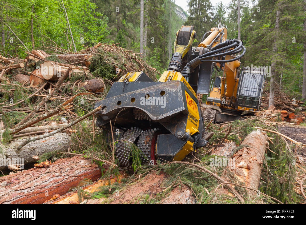 Woodcutter hi-res stock photography and images - Alamy