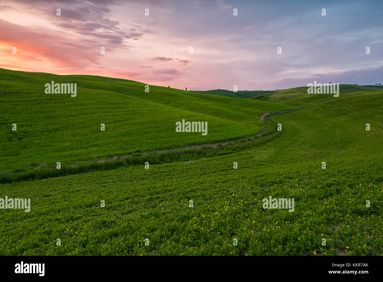 Val icon hi-res stock photography and images - Alamy