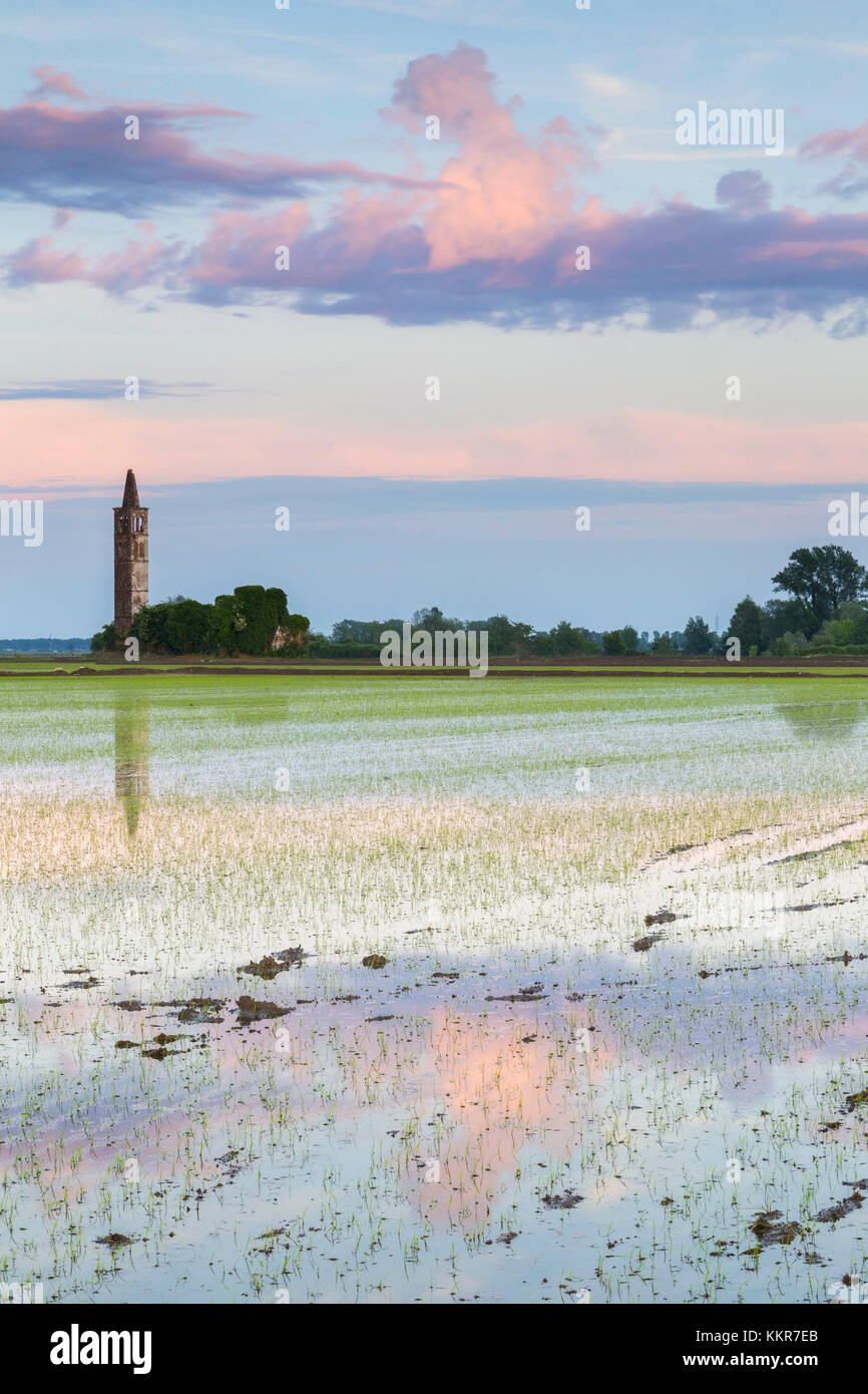 Sunset over rice fields and abandoned S.Antonio church, Casaleggio di ...