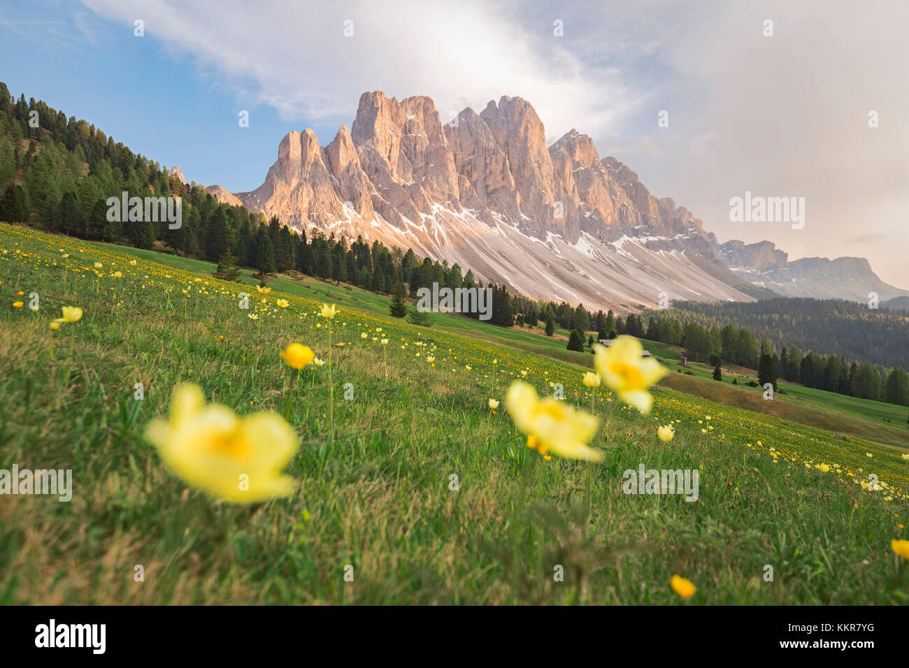 Gampenwiese, Gampen Alm, Val di Funes - Villnoesser Tal, Suedtirol ...