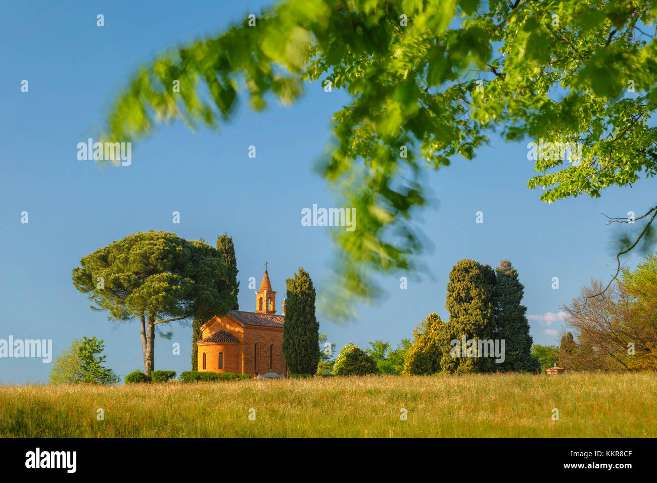 Outdoor tree church hi-res stock photography and images - Alamy