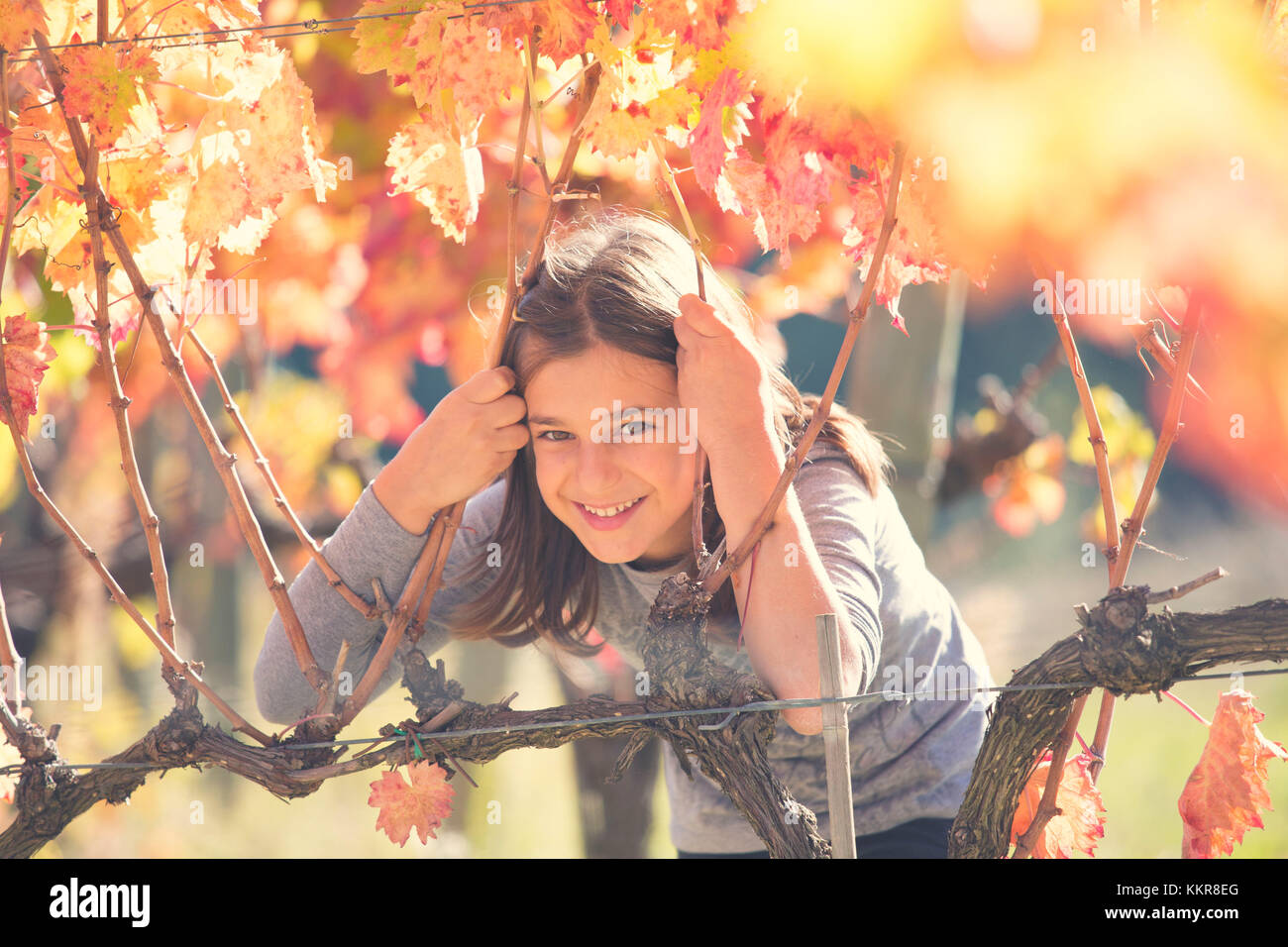 Child in vineyard hi-res stock photography and images - Alamy