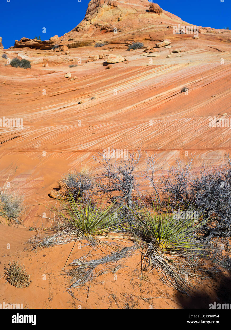 Photograph of the beautiful geology and wild rock formations at South ...