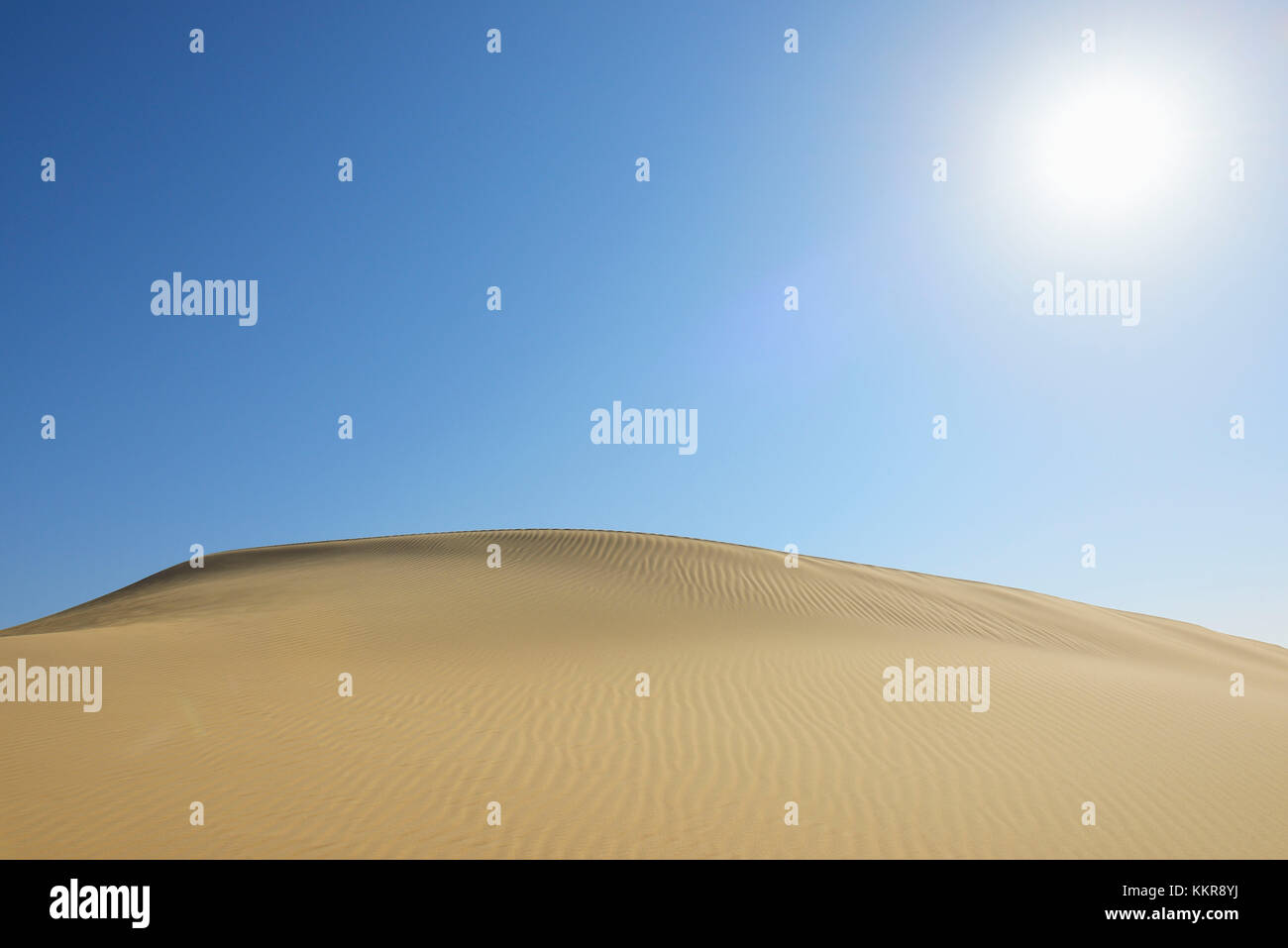 Sand dune with sun, Matruh, Great Sand Sea, Libyan Desert, Sahara ...