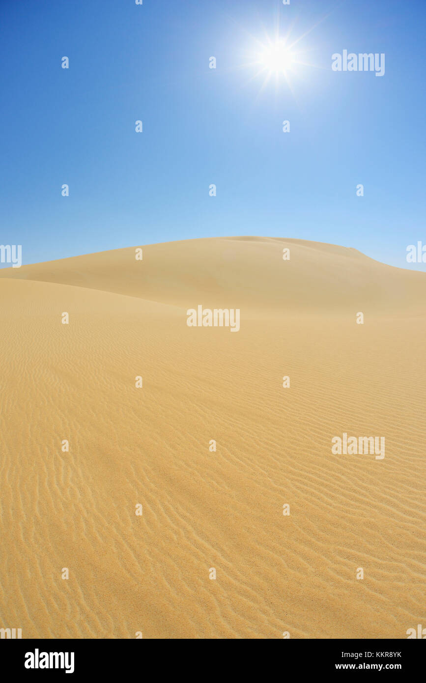 Sand dune with sun, Matruh, Great Sand Sea, Libyan Desert, Sahara ...