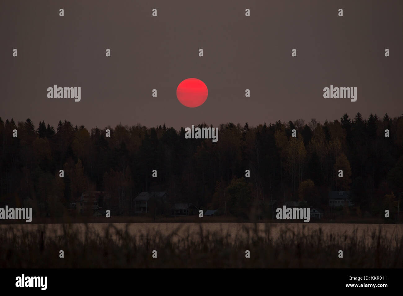 Red Sun, Morning in October, Southern Finland Stock Photo - Alamy