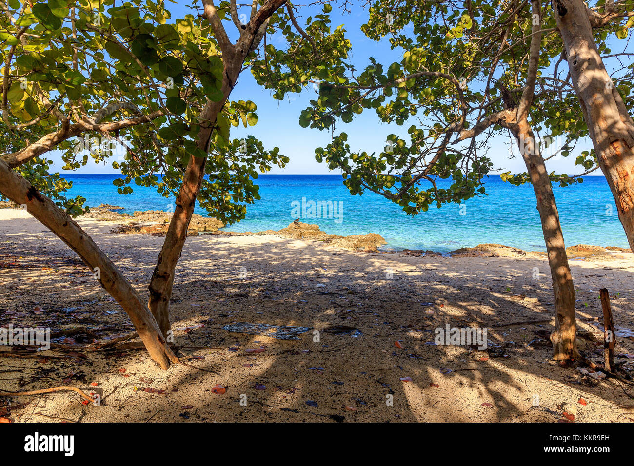 Beach at Maria la Gorda, Cuba Stock Photo - Alamy